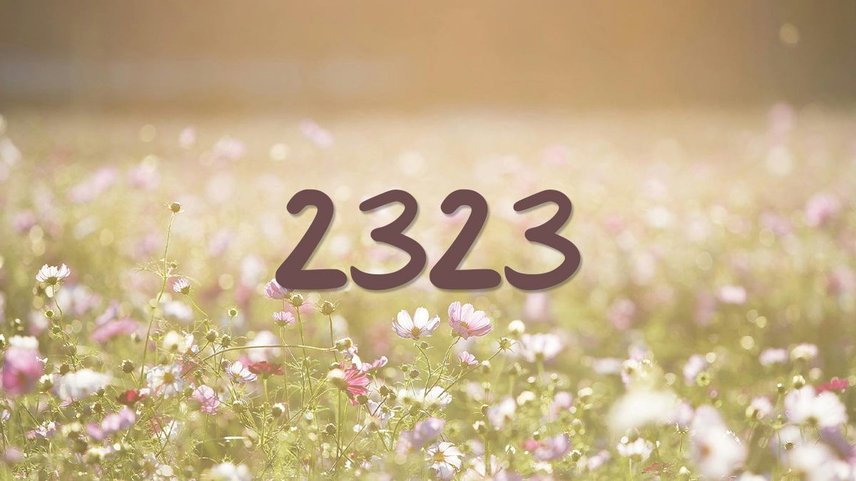 De Symboliek en Kracht van 2323: Een Diepgaande Analyse ...